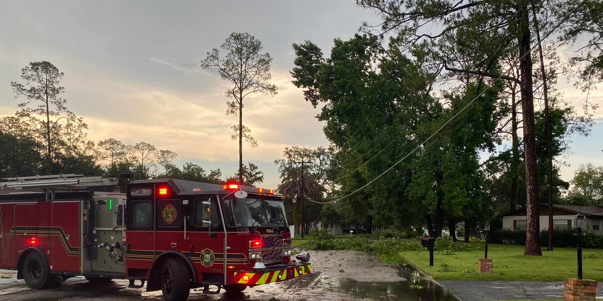 Severe weather knocks down trees, powerlines causing road delays Severe weather knocks down trees, powerlines causing road delays